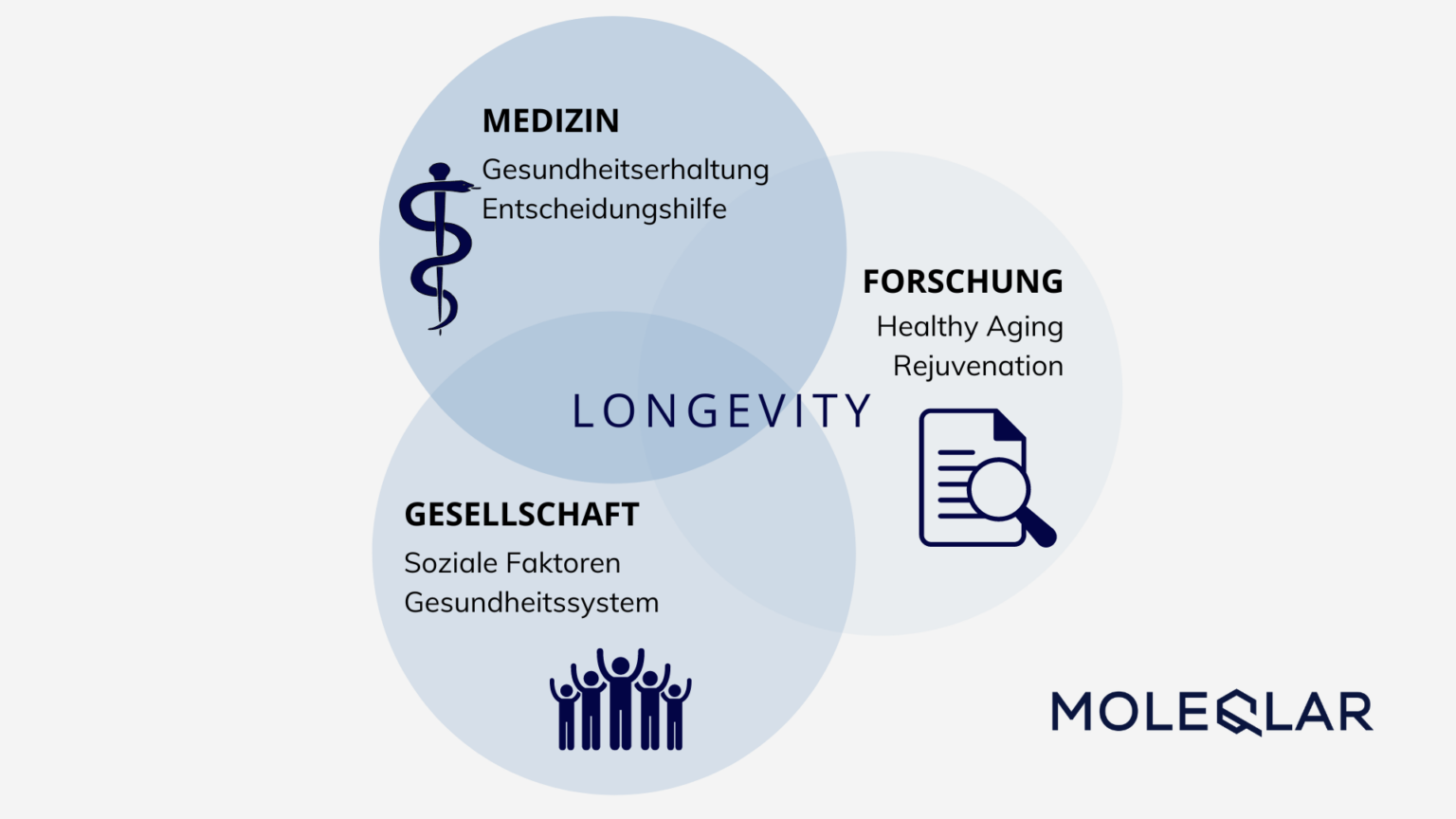 Longevity Praxis München » Langlebigkeit Check up